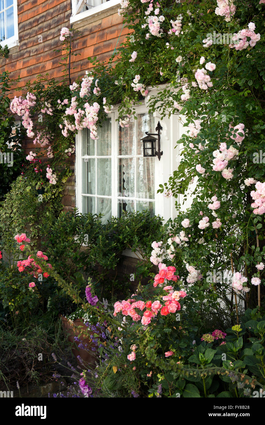 Roses around the door hi-res stock photography and images - Alamy