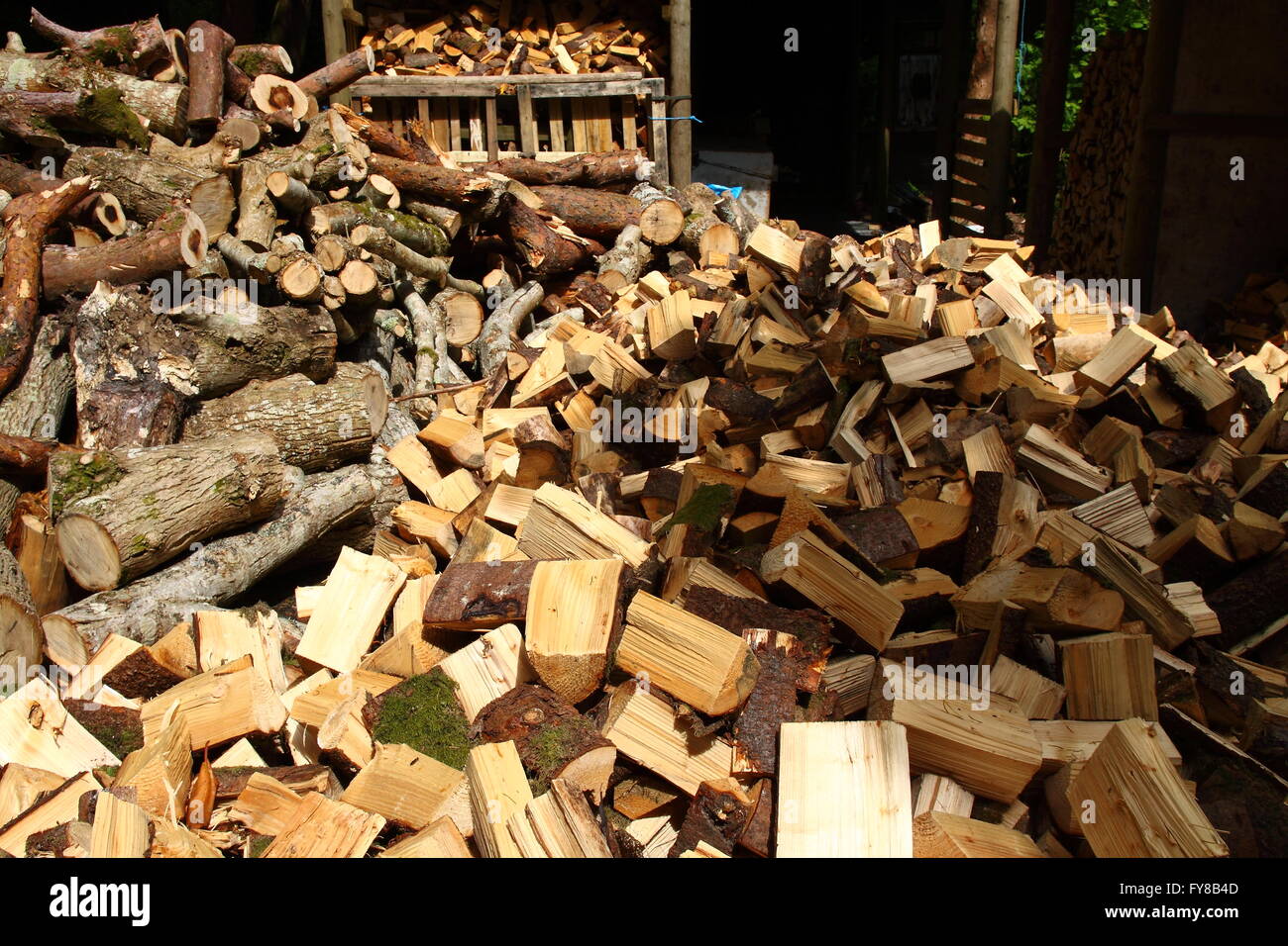 Log trunk pile hi-res stock photography and images - Alamy