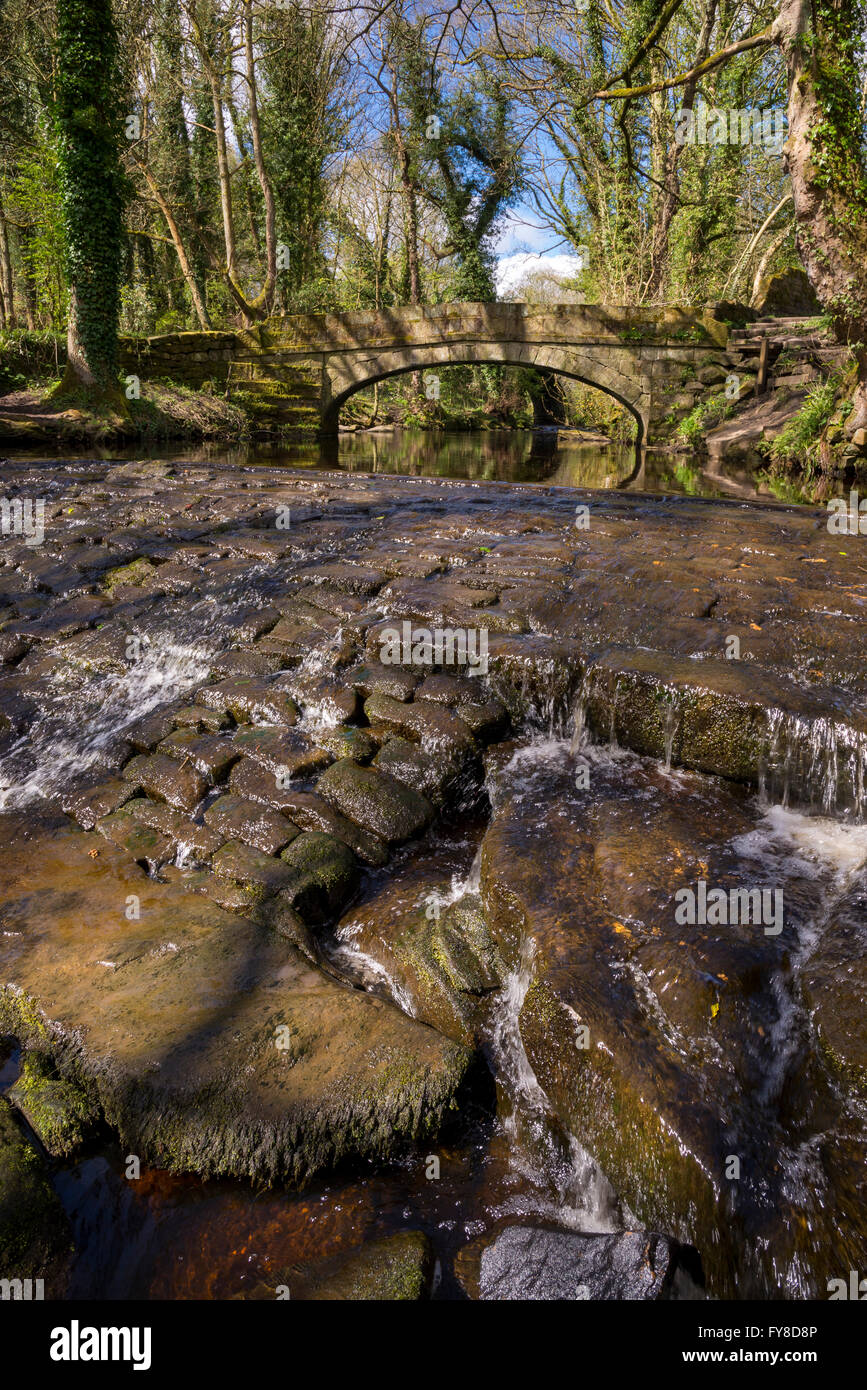 Rivelin walk hi-res stock photography and images - Alamy