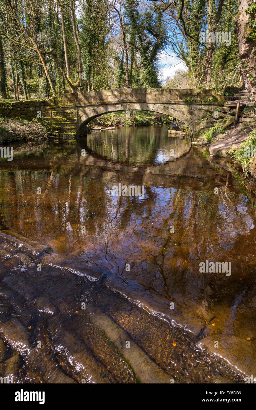 A sunny spring day in the Rivelin valley near Sheffield Stock Photo - Alamy