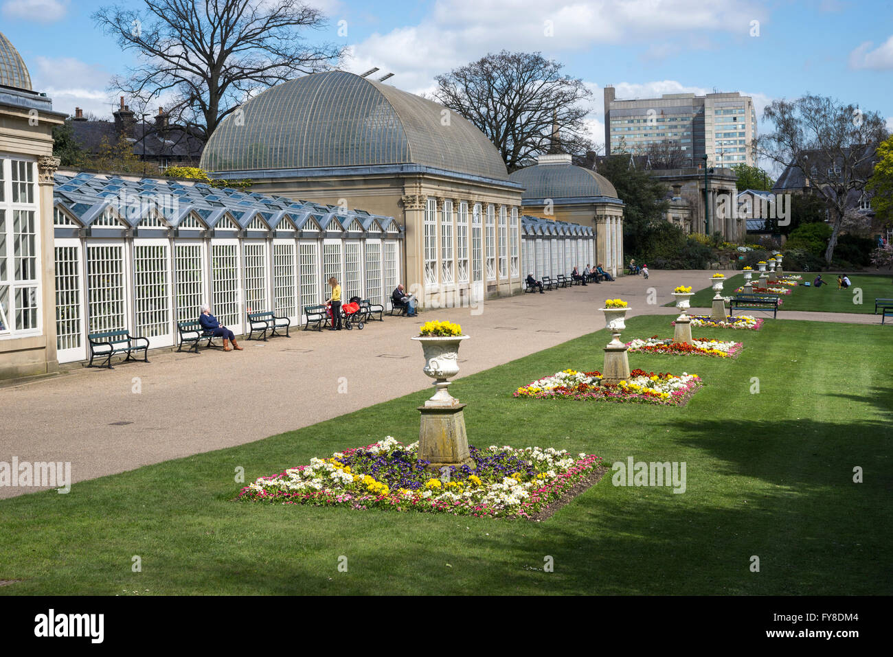 Sheffield botanical gardens hi-res stock photography and images - Alamy