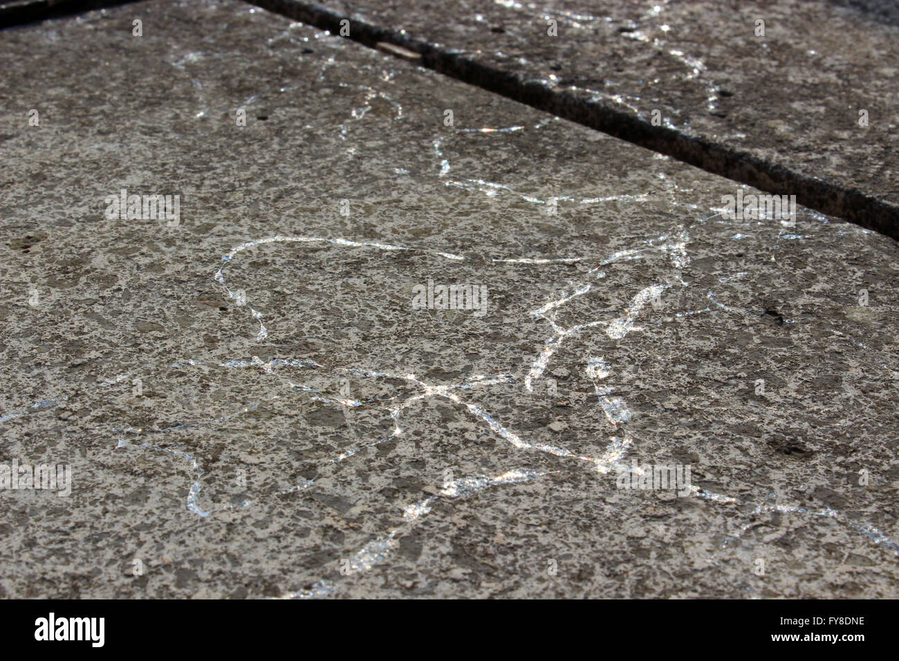 Mucus trail hi-res stock photography and images - Alamy