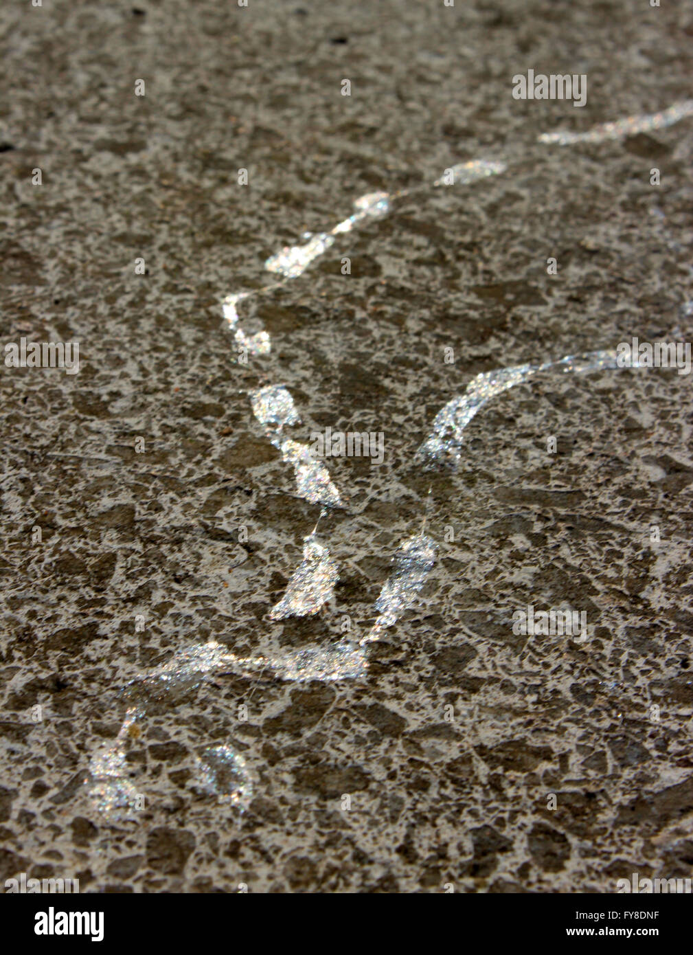 Slug trails hi-res stock photography and images - Alamy