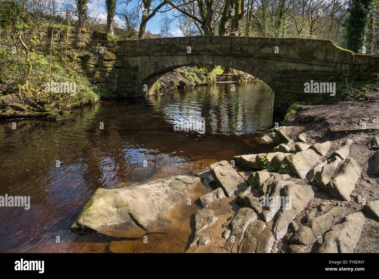 A sunny spring day in the Rivelin valley near Sheffield Stock Photo - Alamy