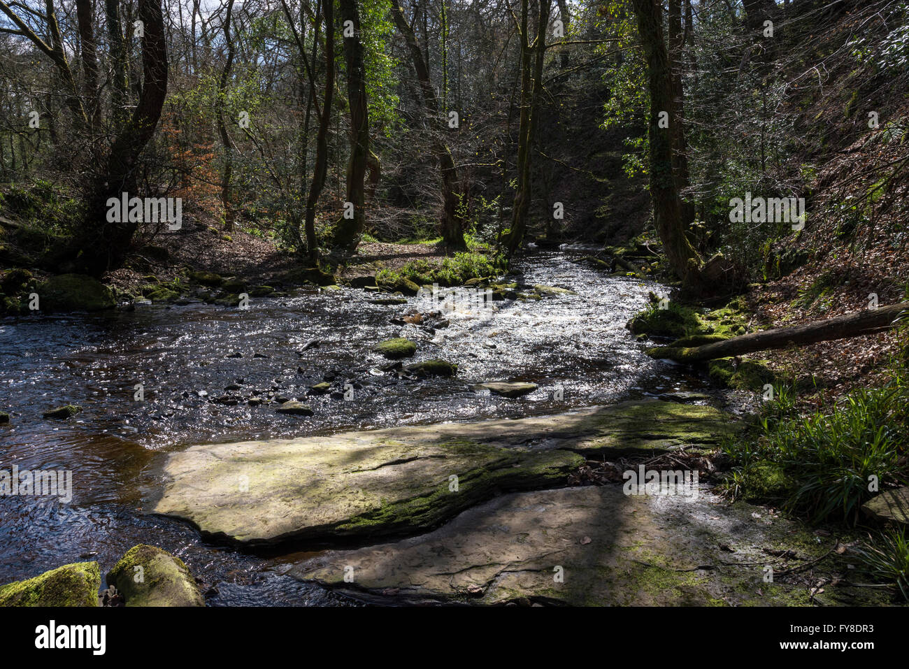 Rivelin Sheffield High Resolution Stock Photography and Images - Alamy