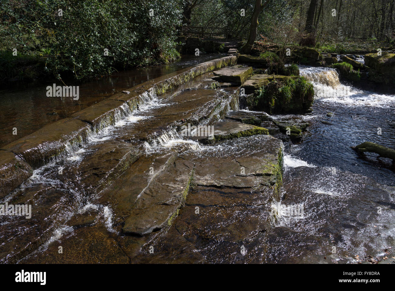 Rivelin old mill hi-res stock photography and images - Alamy
