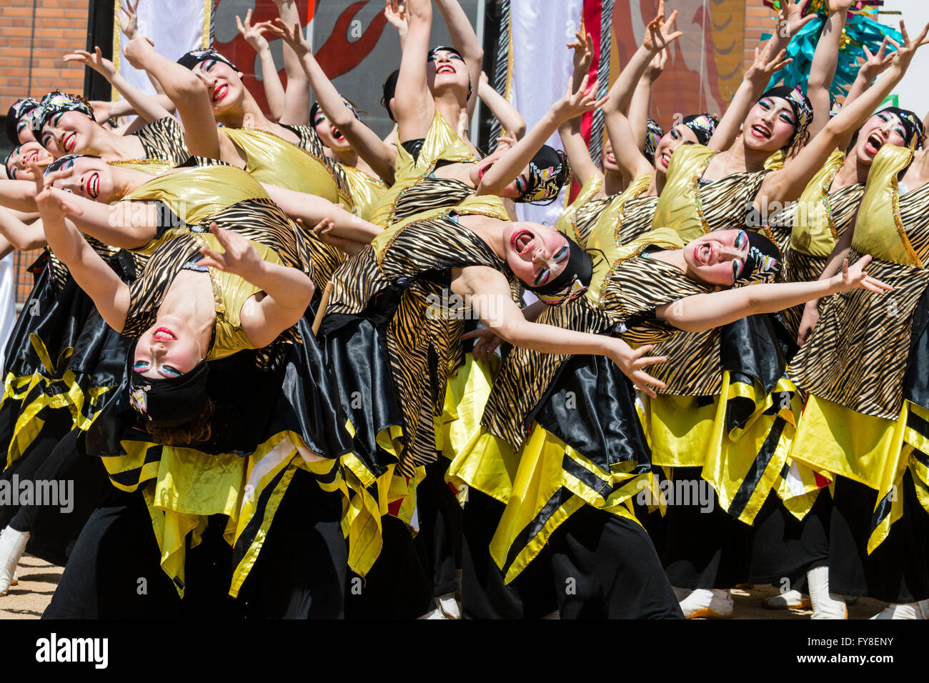 Yosakoi dance festival, Japan. Female dance troupe in black and yellow ...