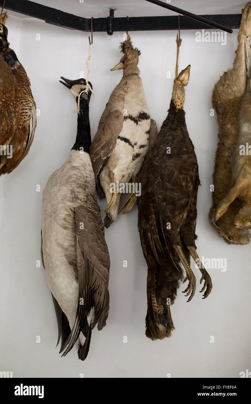 Victorian butchers shop hi-res stock photography and images - Alamy