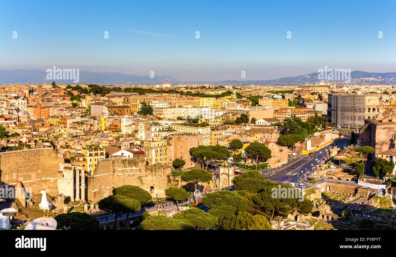 Arial View Side Roman Colosseum