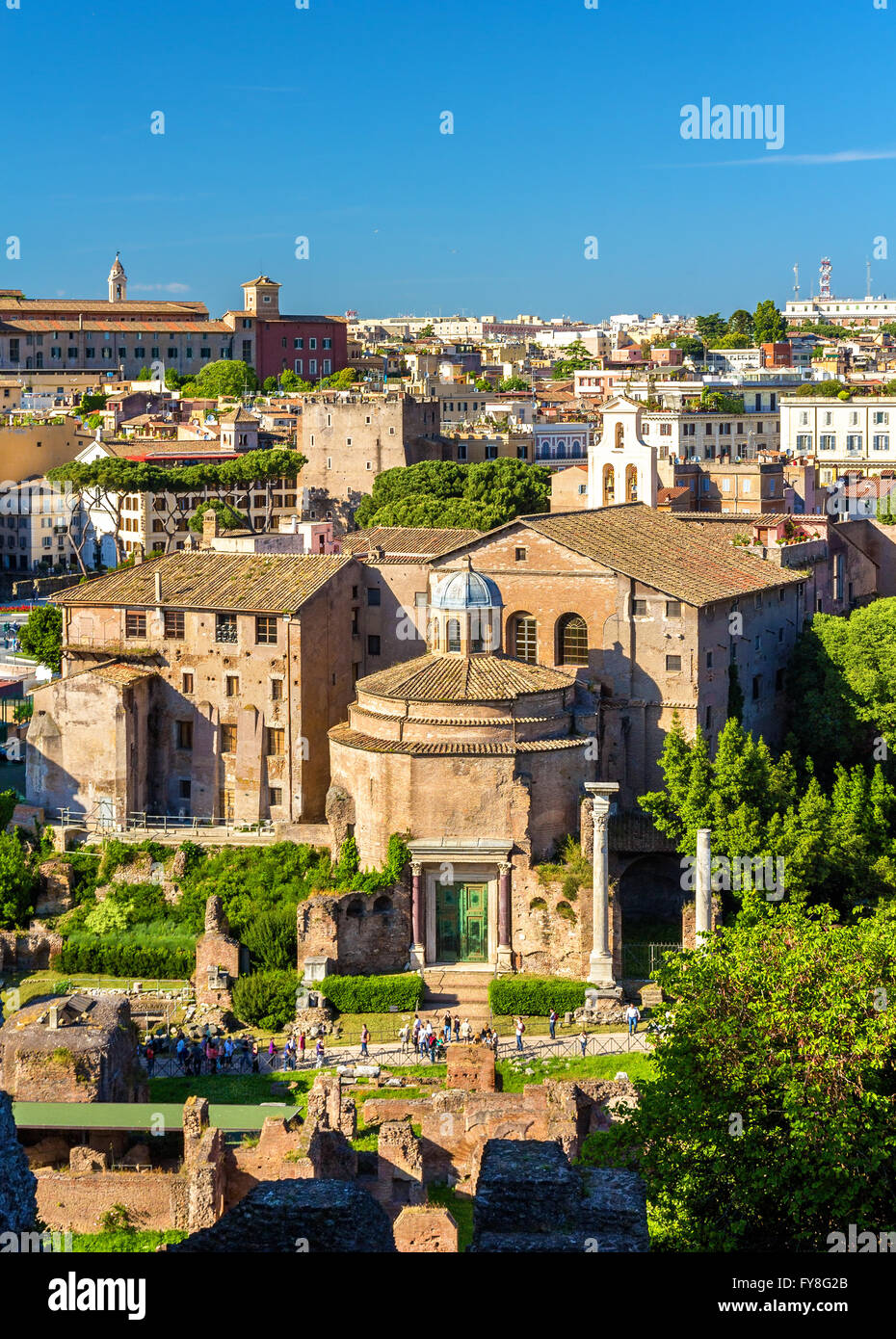 Temple of romulus in the roman forum hi-res stock photography and ...
