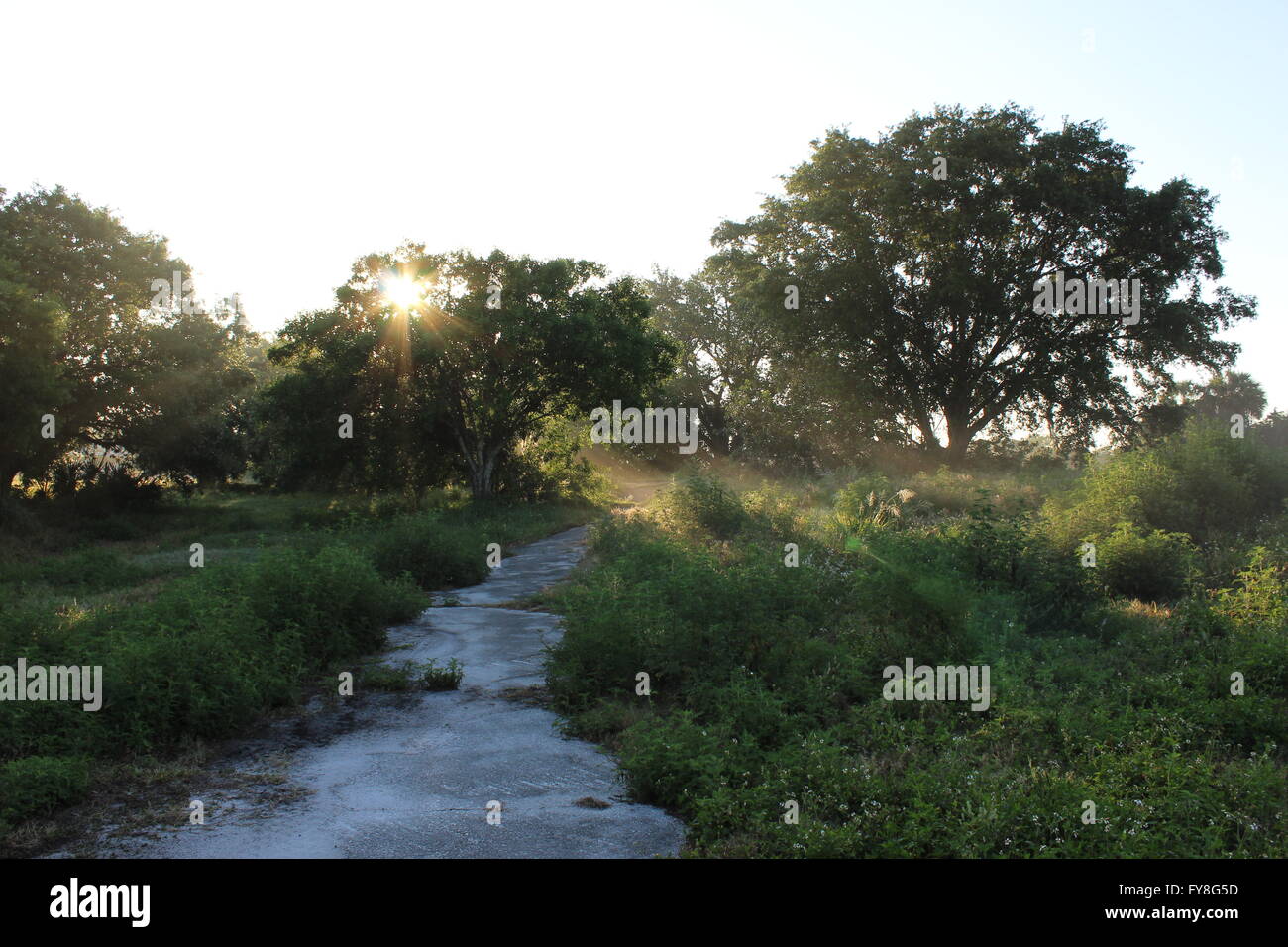 Lighted morning light hi-res stock photography and images - Alamy