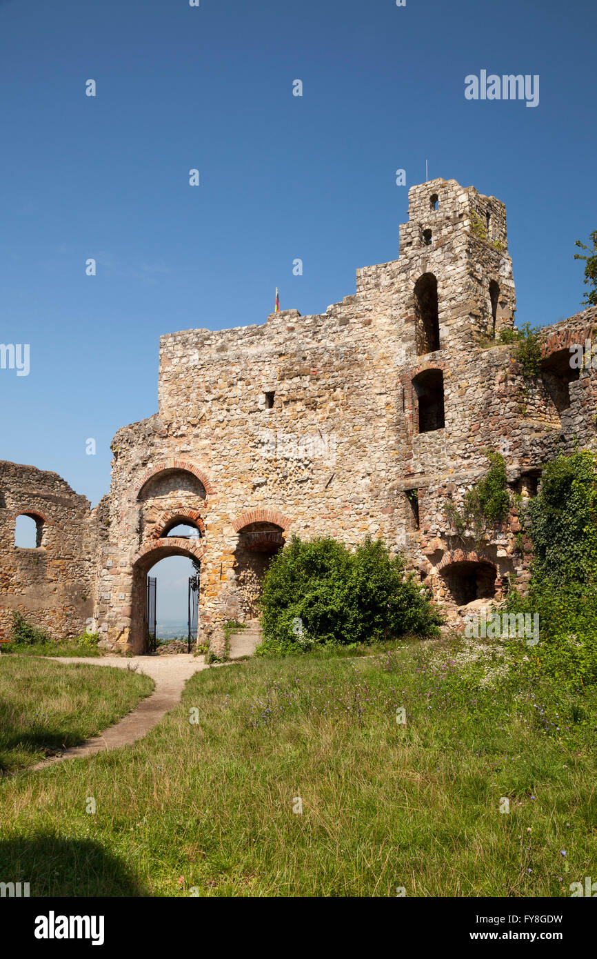 Staufen castle ruins, Staufen im Breisgau, Black Forest, Baden ...