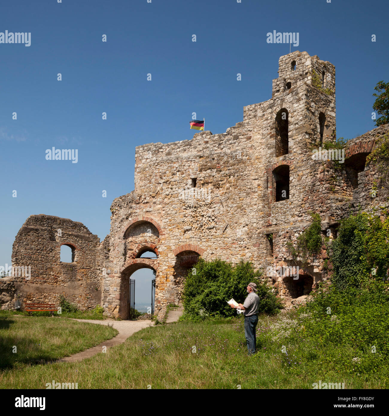 Man with map in front of the Burg Staufen castle ruins, Staufen im ...