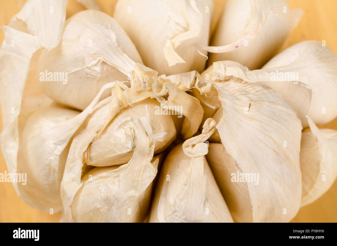 Detail take of a whole garlic bulb Stock Photo - Alamy