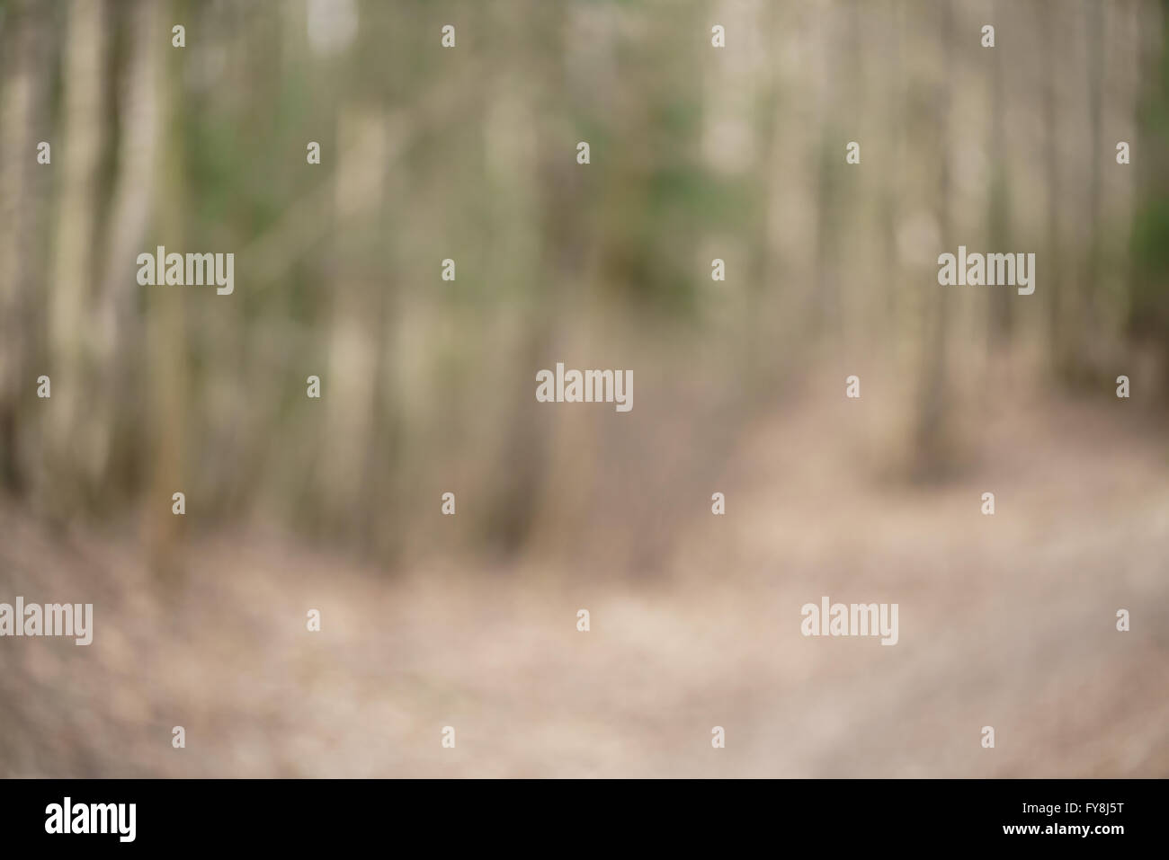 Vintage forest wallpaper hi-res stock photography and images - Alamy