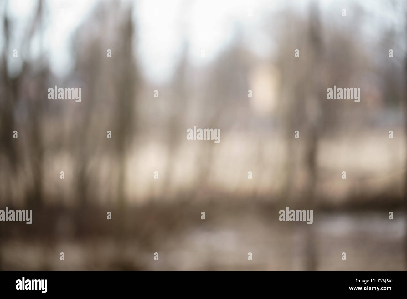 Vintage forest wallpaper hi-res stock photography and images - Alamy