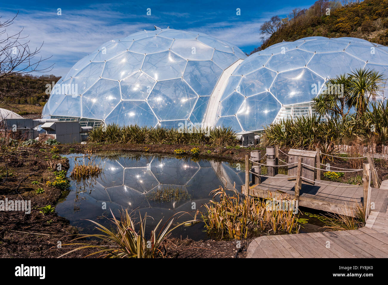 eden project in cornwall uk Stock Photo - Alamy