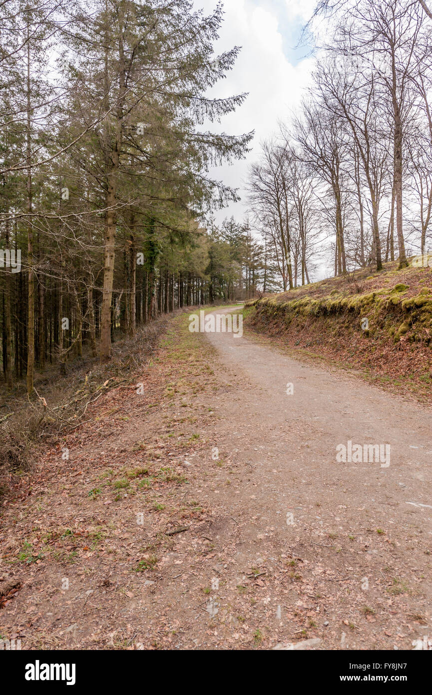 Deerpark cornwall hi-res stock photography and images - Alamy