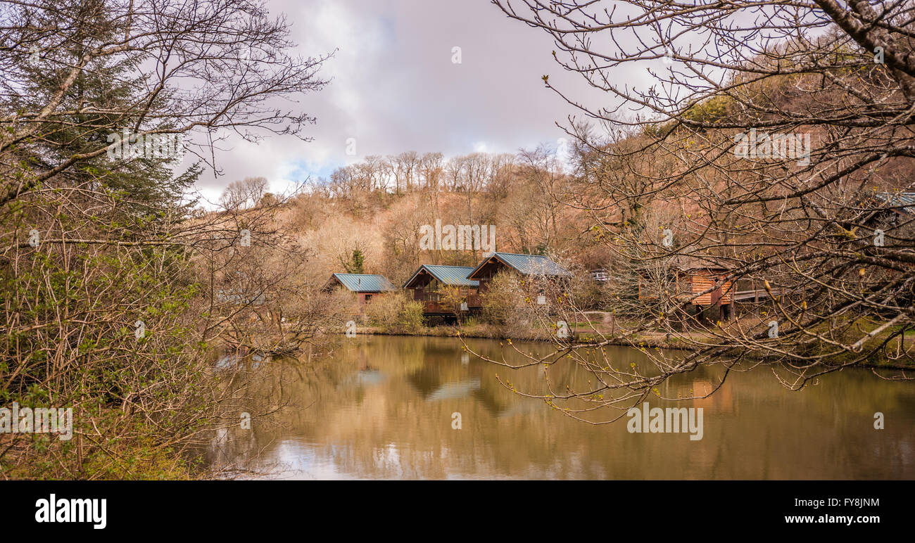 Deerpark cornwall hi-res stock photography and images - Alamy