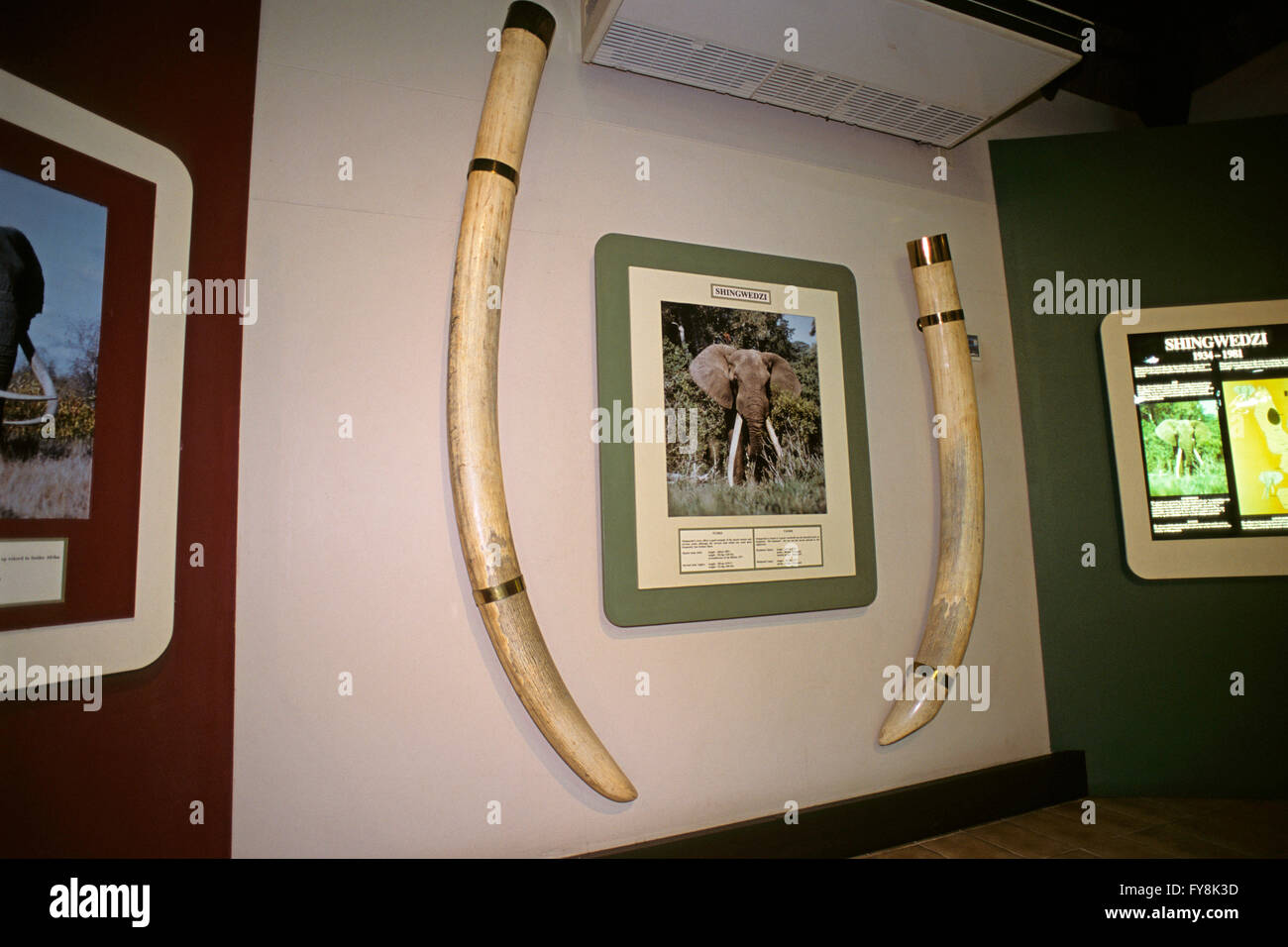 Letaba elephant museum hi-res stock photography and images - Alamy