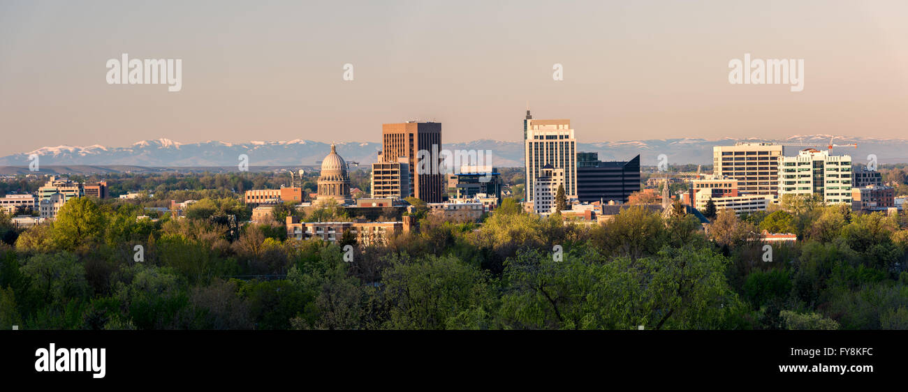Skyline plants hi-res stock photography and images - Alamy