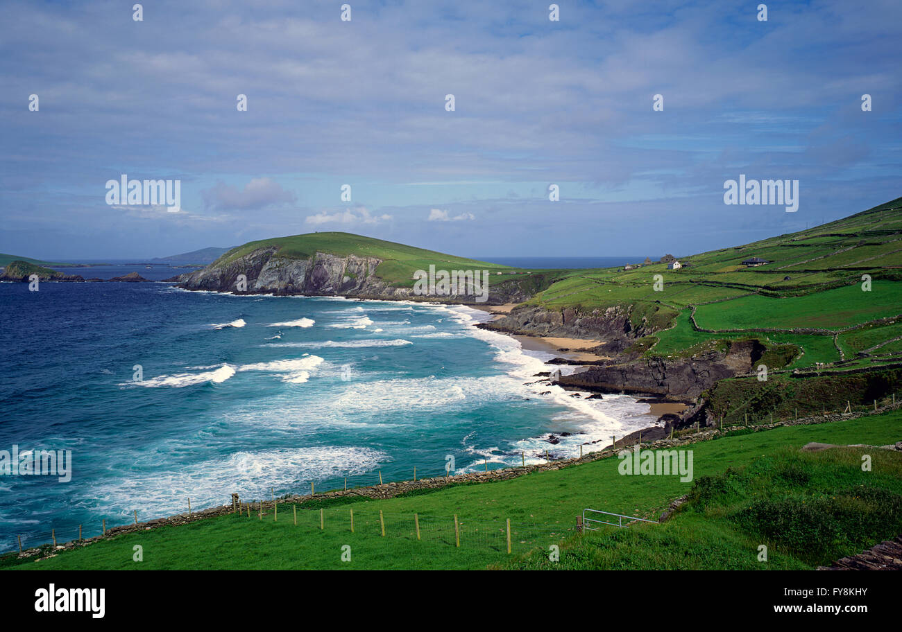Dunmore Head, Dingle Peninsula, Ring of Kerry, County Kerry, Ireland ...