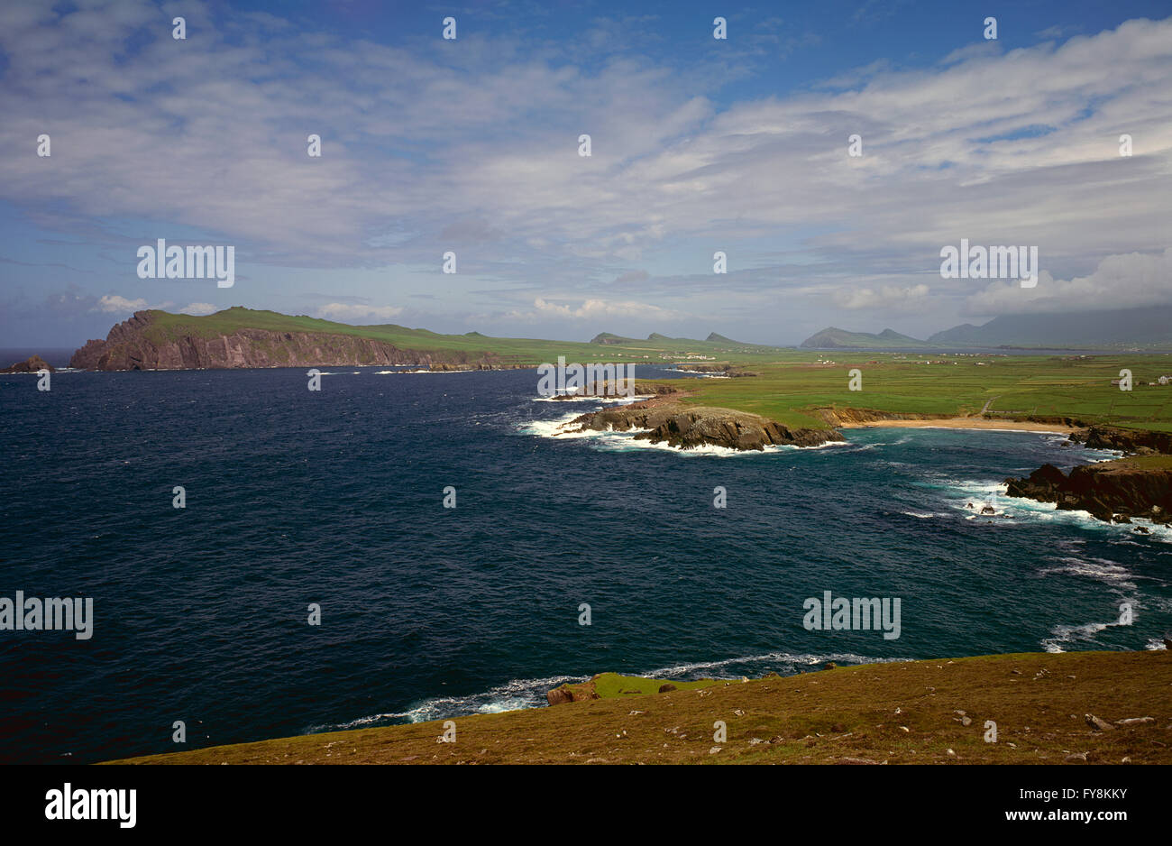 Sybil Head, Dingle Peninsula, Ring of Kerry, County Kerry, Ireland ...