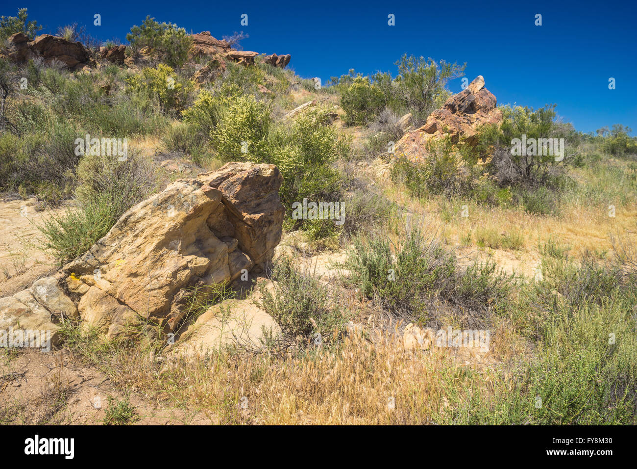 Rock outcropping emerge from the desert floor in the Mojave Stock Photo ...
