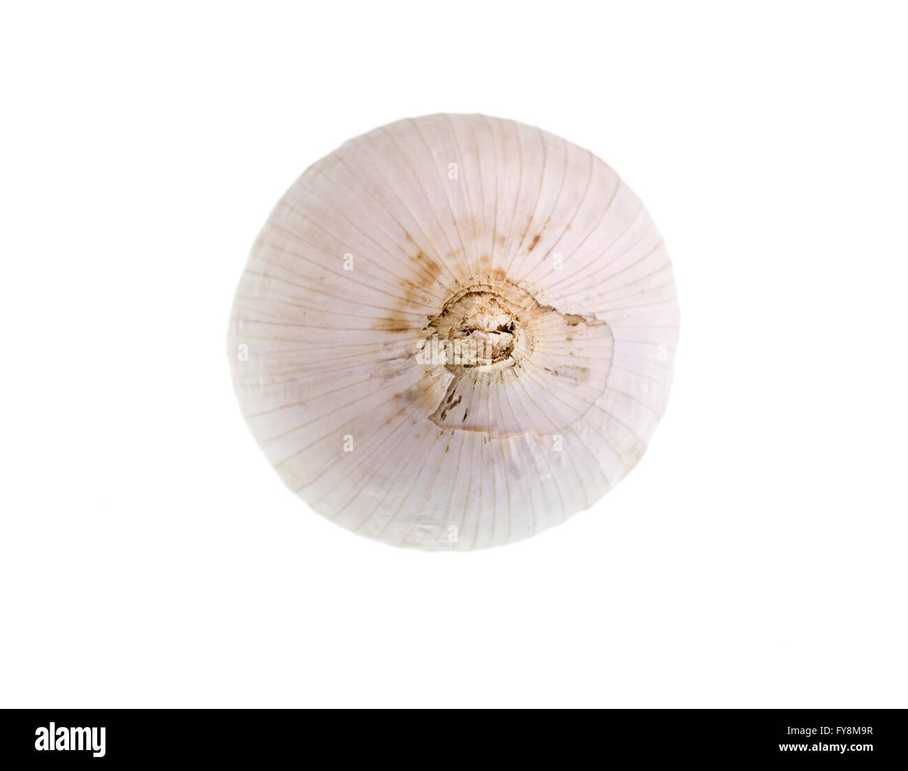 Native food Cut Out Stock Images & Pictures - Alamy