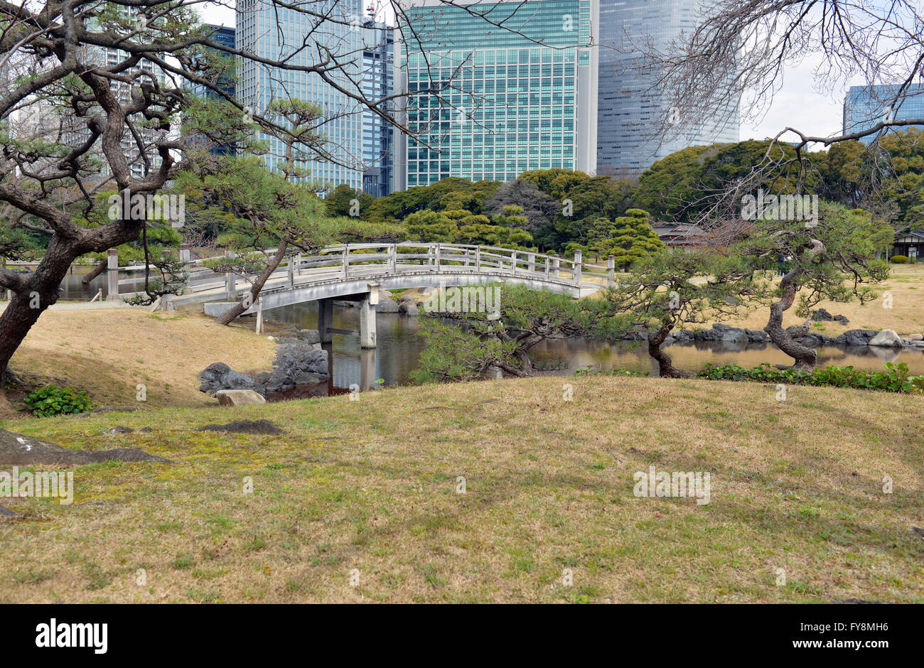 A traditional Japanese garden in an urban environment, Tokyo, Japan ...