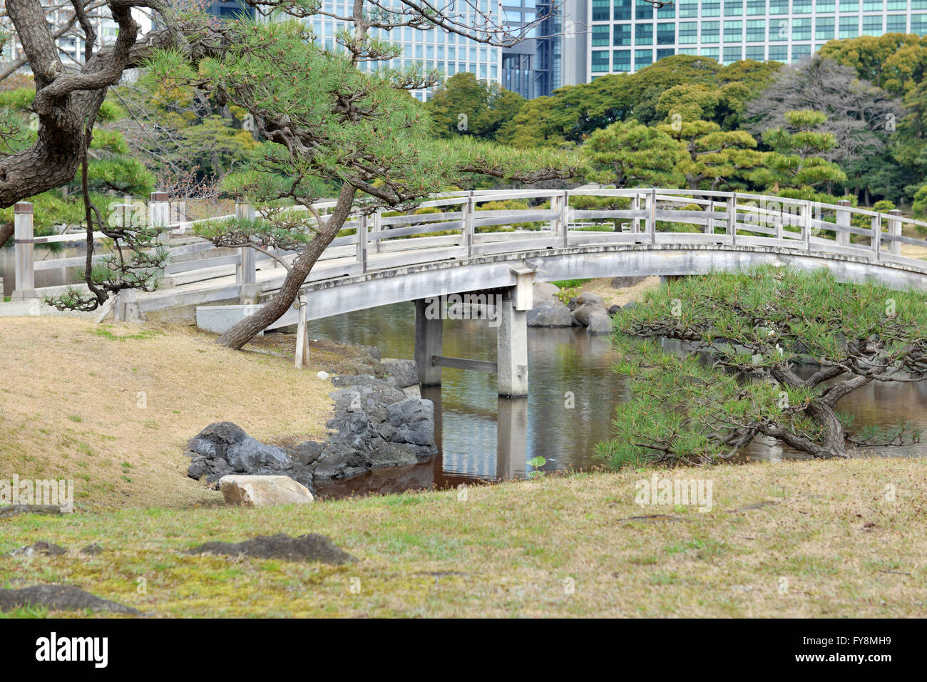 A traditional Japanese garden in an urban environment, Tokyo, Japan ...