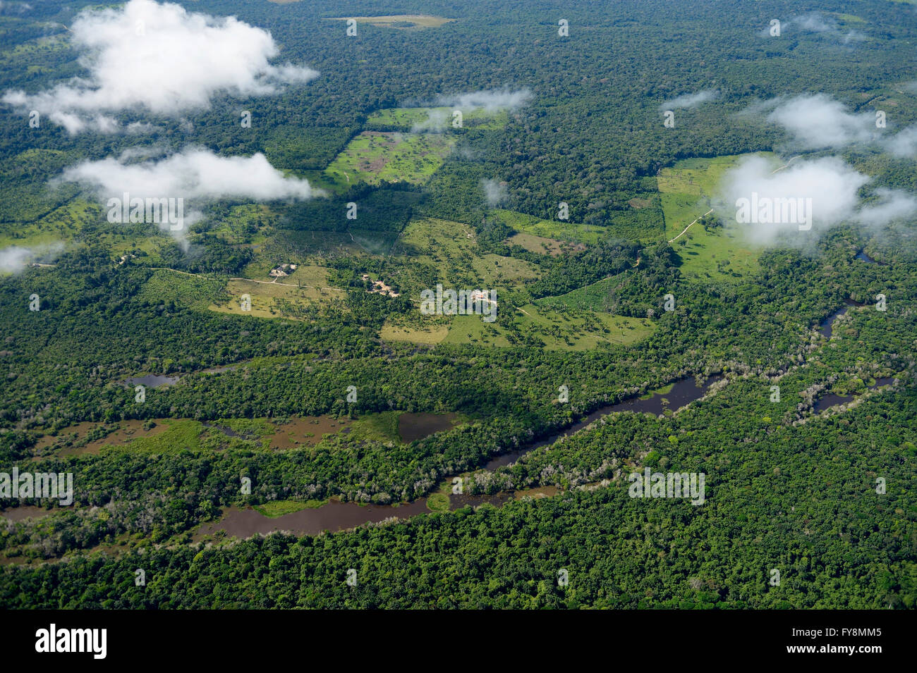 Brazil, Para, Itaituba, Amazon rainforest, slash and burn, reclamation ...