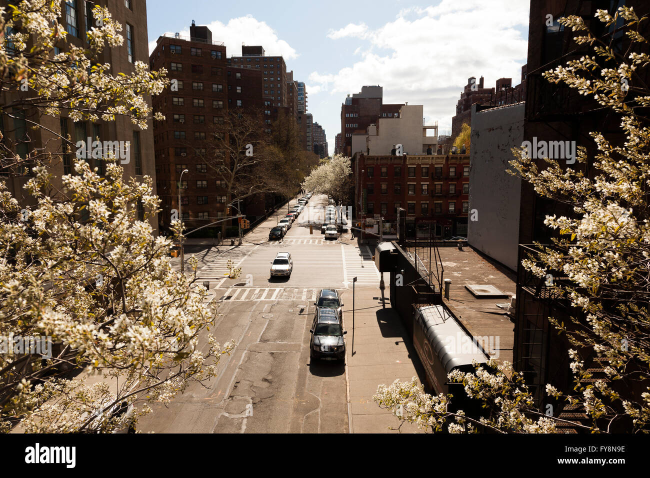 USA, New York, Manhattan, High Line Park, View onto street Stock Photo ...