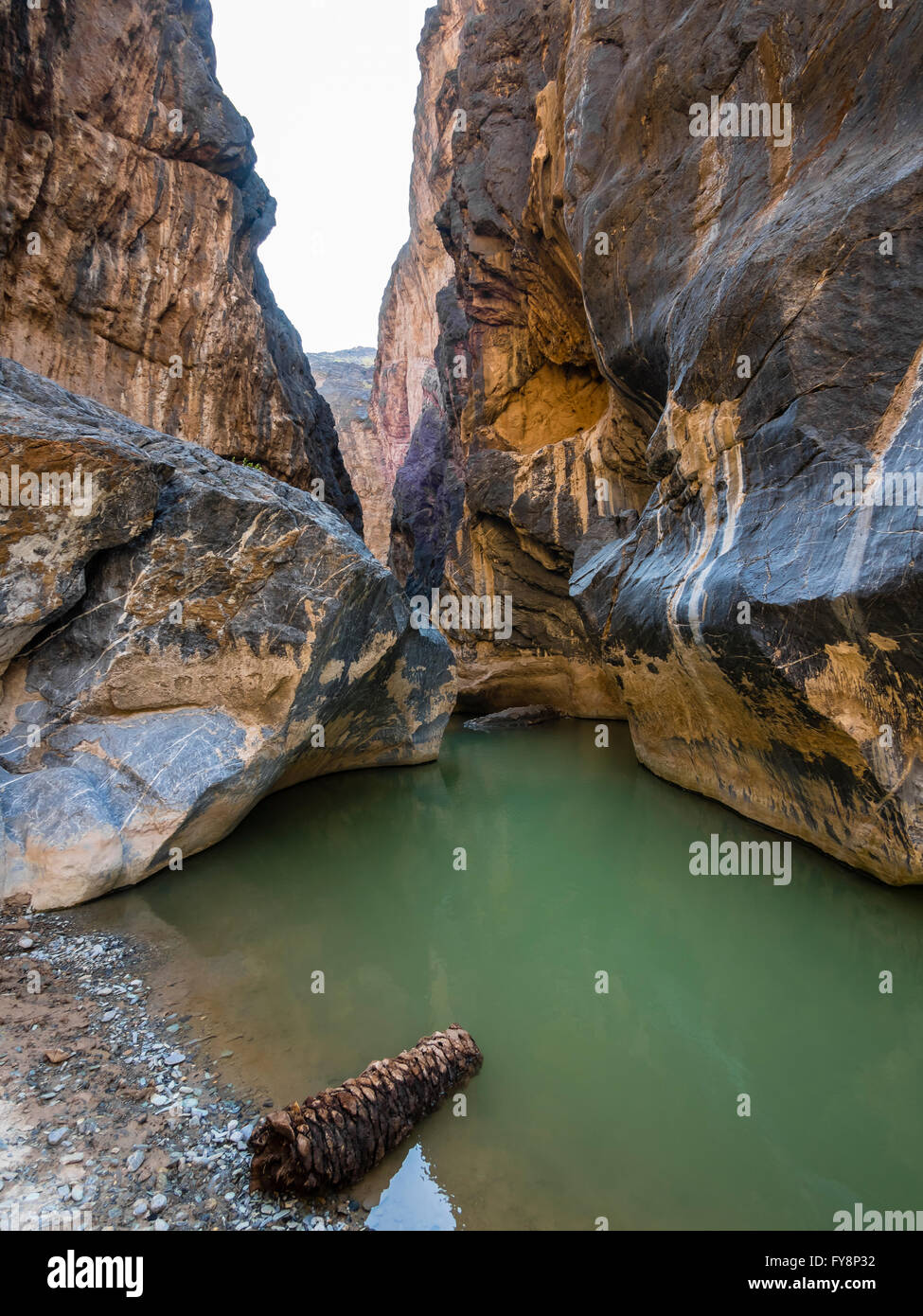Oman, Al Hajar Mountains, Wadi, hot spring Stock Photo - Alamy