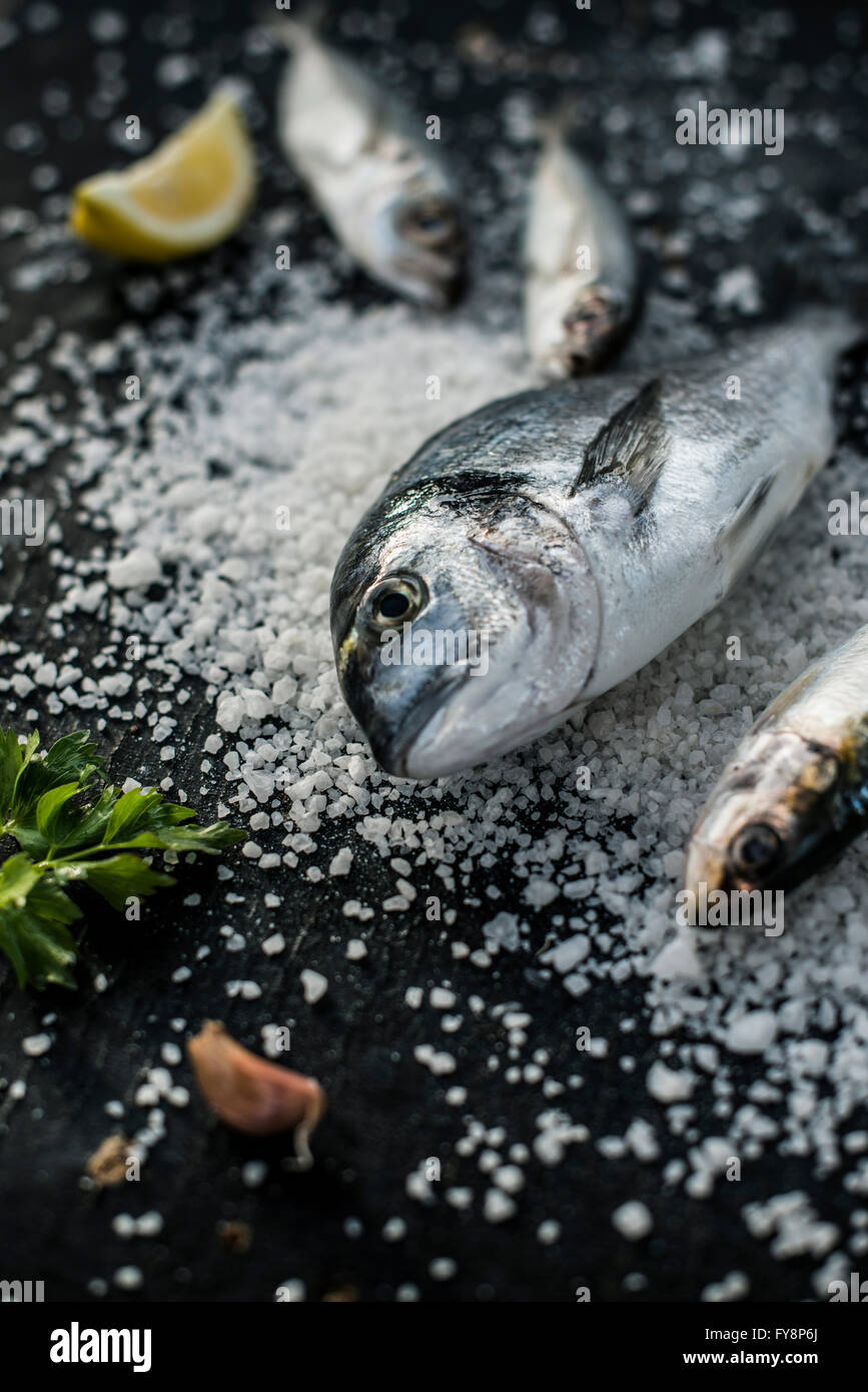 Raw sea bream fish on salt Stock Photo - Alamy