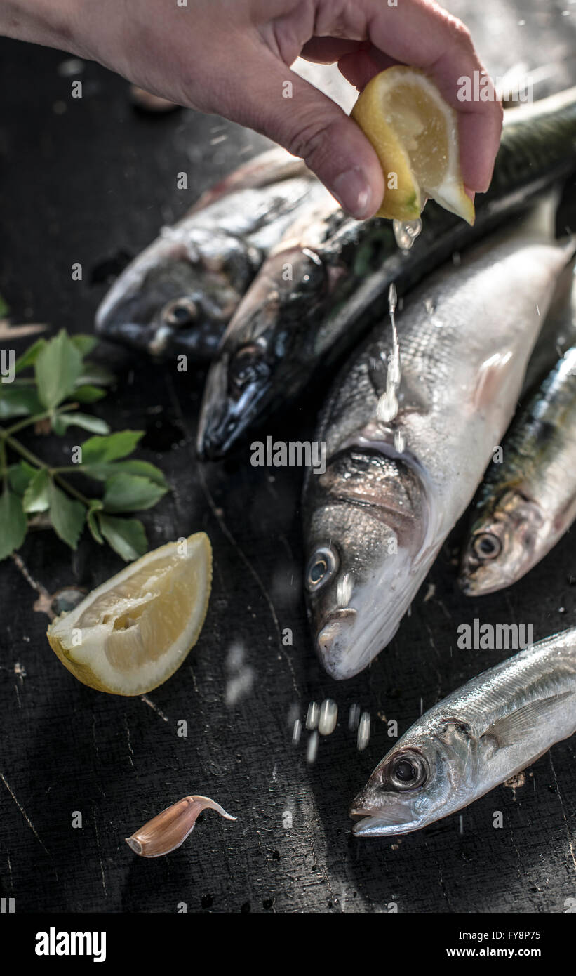 Raw fish. Sea bream, sea bass, mackerel and sardines, squeezing lemon ...