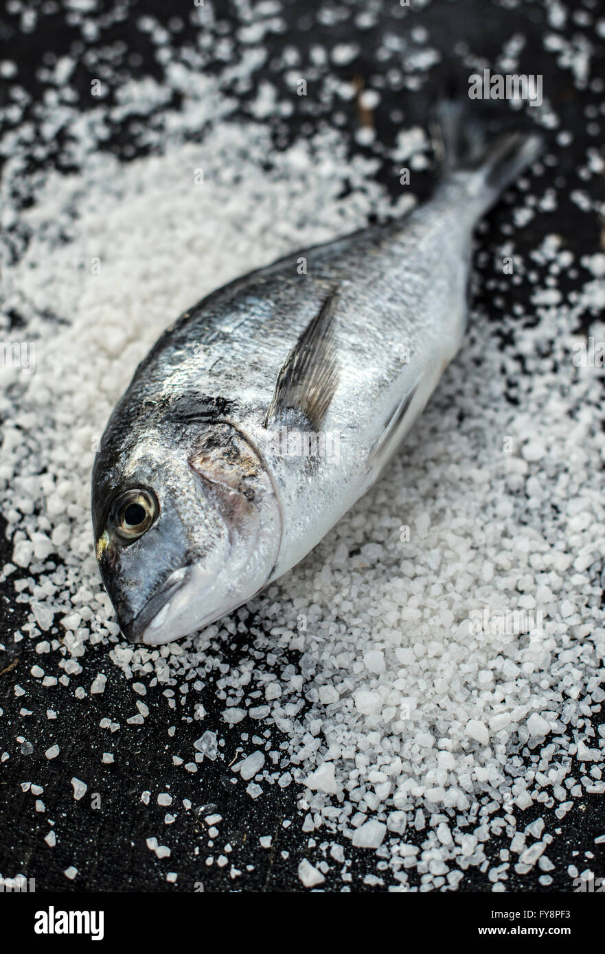 Raw sea bream fish on salt Stock Photo - Alamy