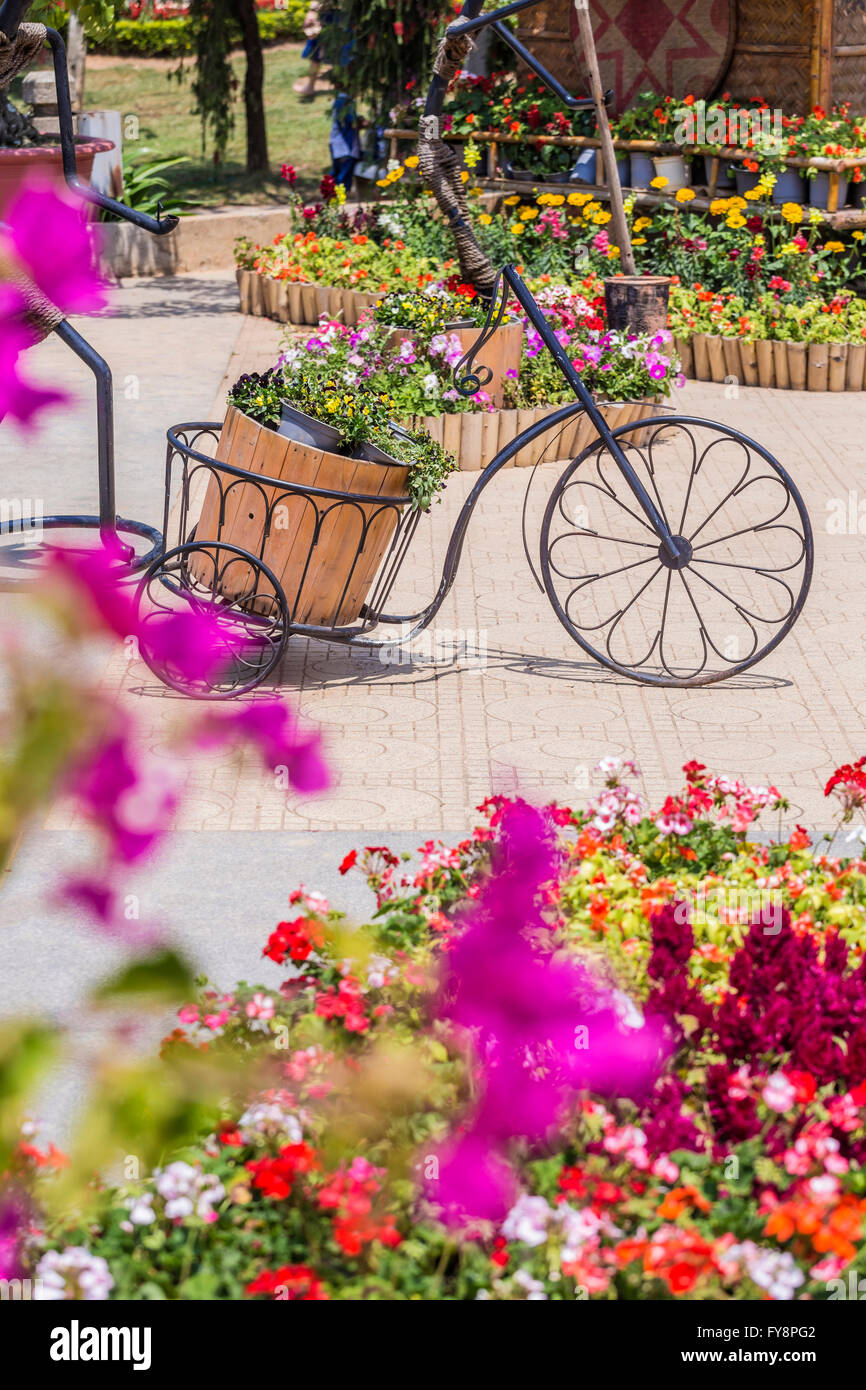 Vietnam, Da Lat, tricycle in flower garden Stock Photo - Alamy