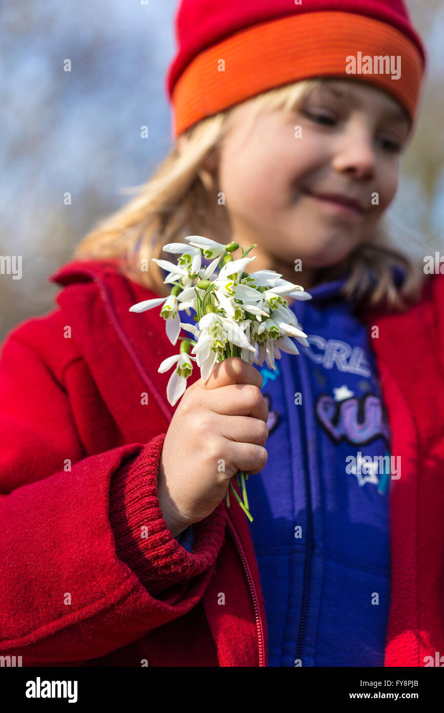Little girl holding snowdrops Stock Photo - Alamy
