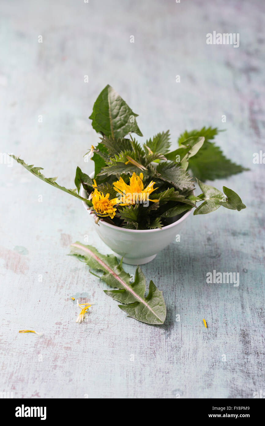Bowl of nettles and leaves and blossoms of dandelion Stock Photo - Alamy
