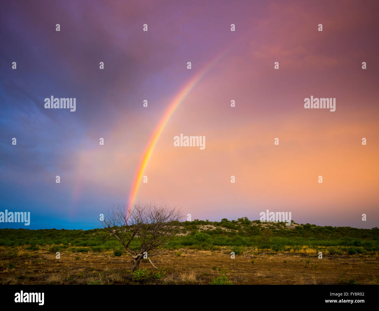 Outjo hi-res stock photography and images - Alamy