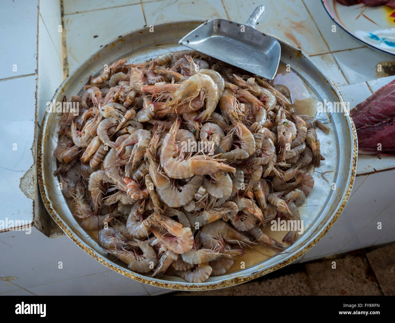Oman, Barka, Fish market, fresh row shrimps on tray Stock Photo - Alamy