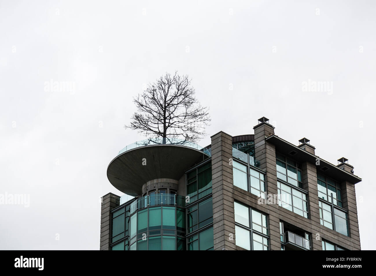 High rise residential building with tree on roof terrace hi-res stock ...