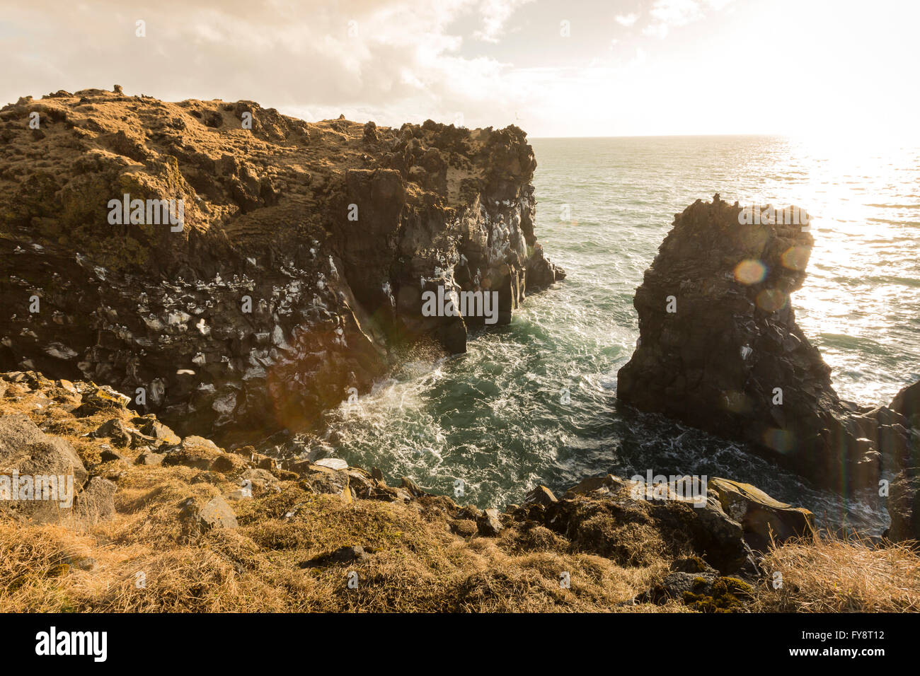 Iceland, Snaefells, Hellnar, cliff coast at morning light Stock Photo ...
