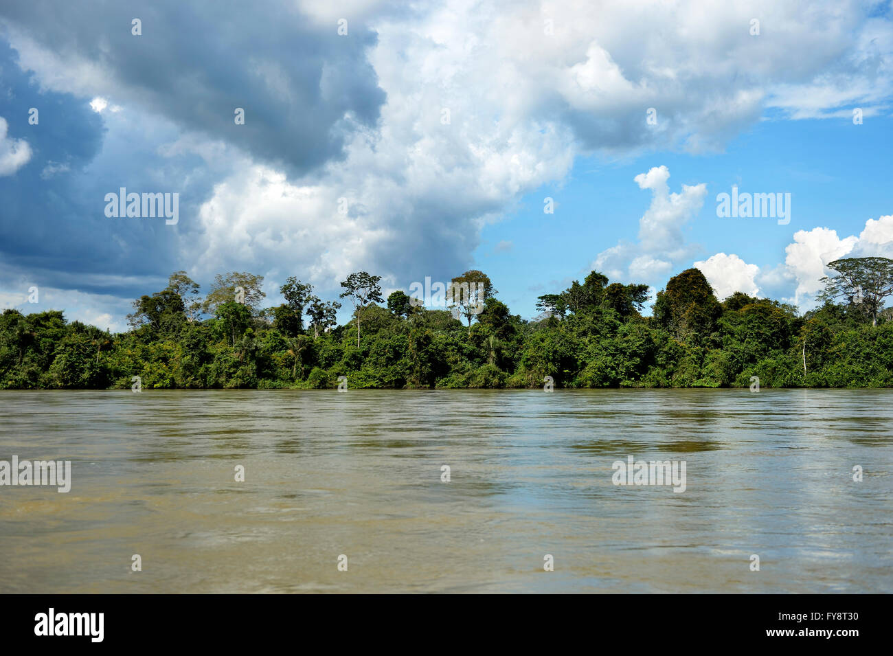 Brazil, Para, Rio Tapajos and Amazon rainforest Stock Photo - Alamy