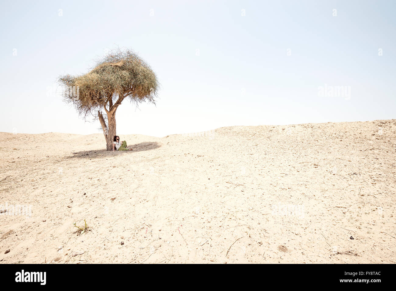 Man sitting alone under tree hi-res stock photography and images - Alamy