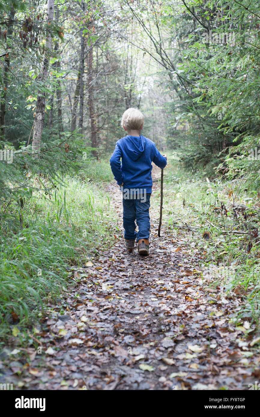 Back view of little blond boy walking on a forest track Stock Photo - Alamy