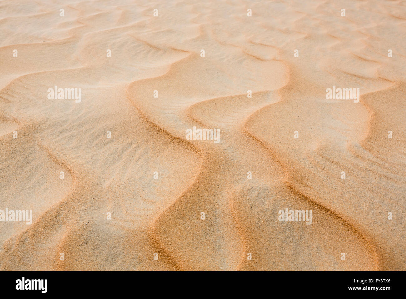 UAE, Rub' al Khali, ripple marks in the desert sand, close-up Stock ...