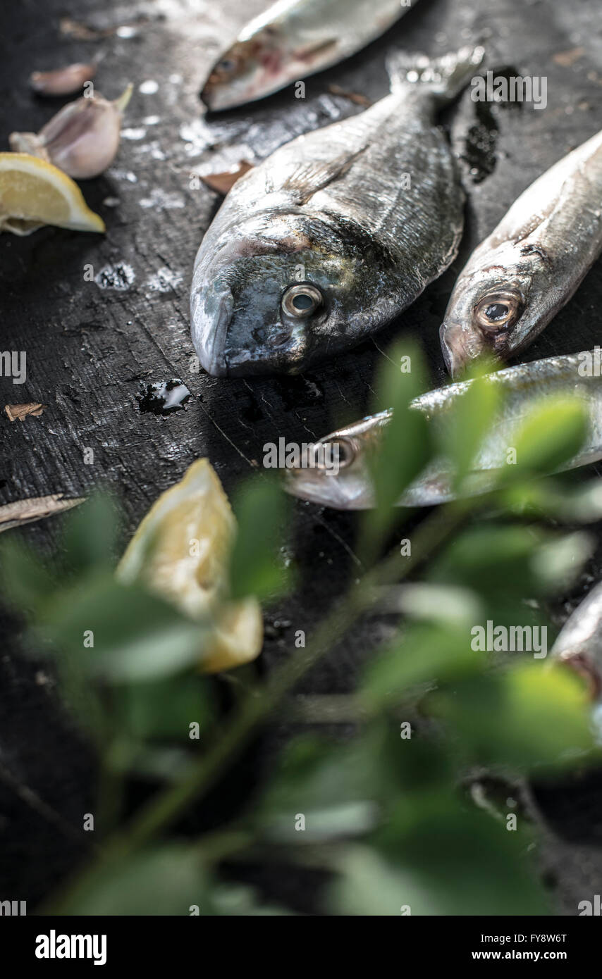 Raw fish, sea bream, sea bass, mackerel and sardines Stock Photo - Alamy