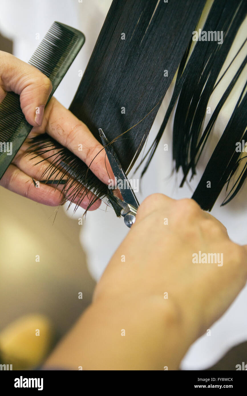 Hairdresser cutting the hair of a girl in a hairdressing Stock Photo ...